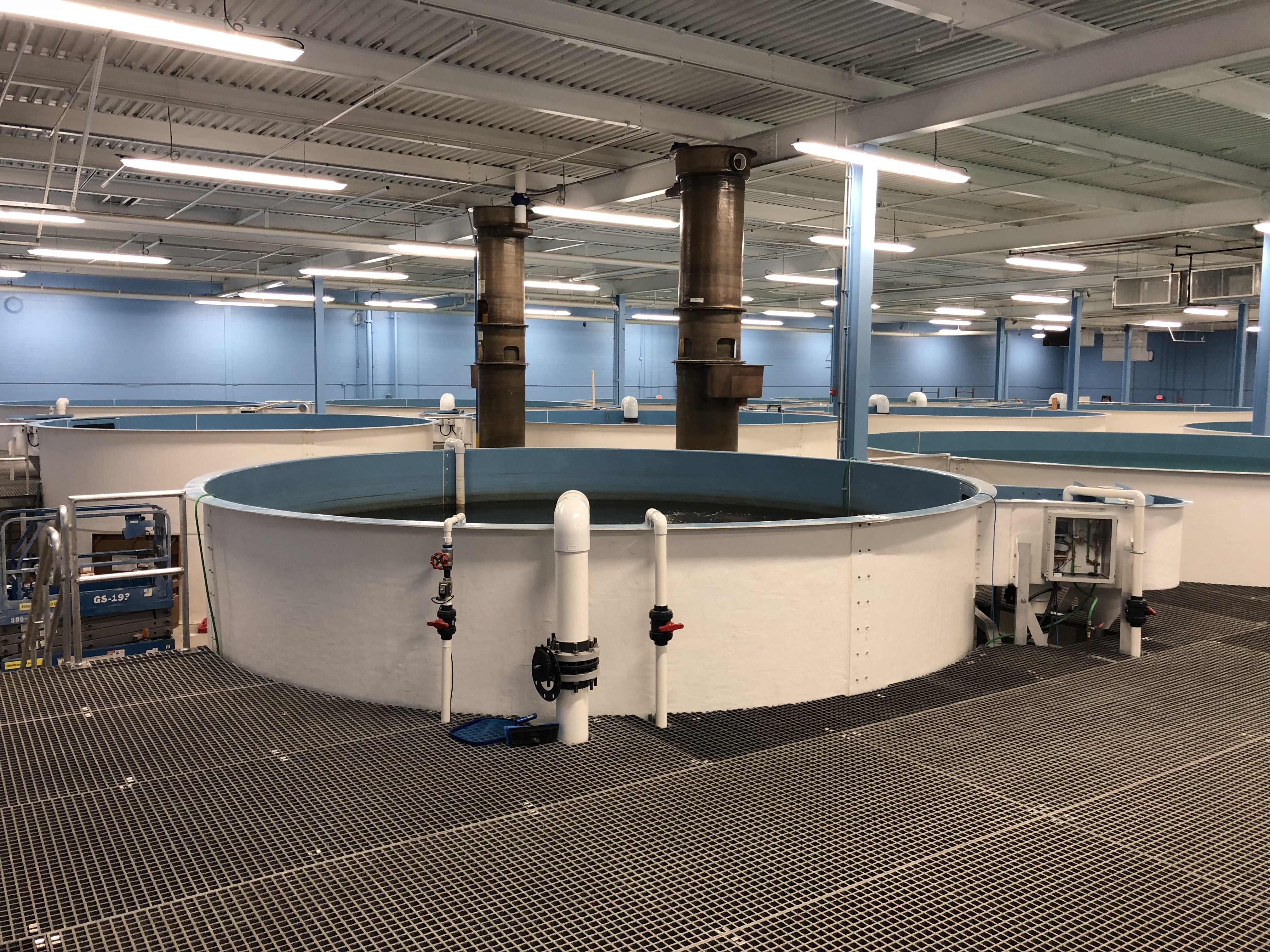 Recirculating Aquaculture Systems (RAS Systems) Design | PR Aqua