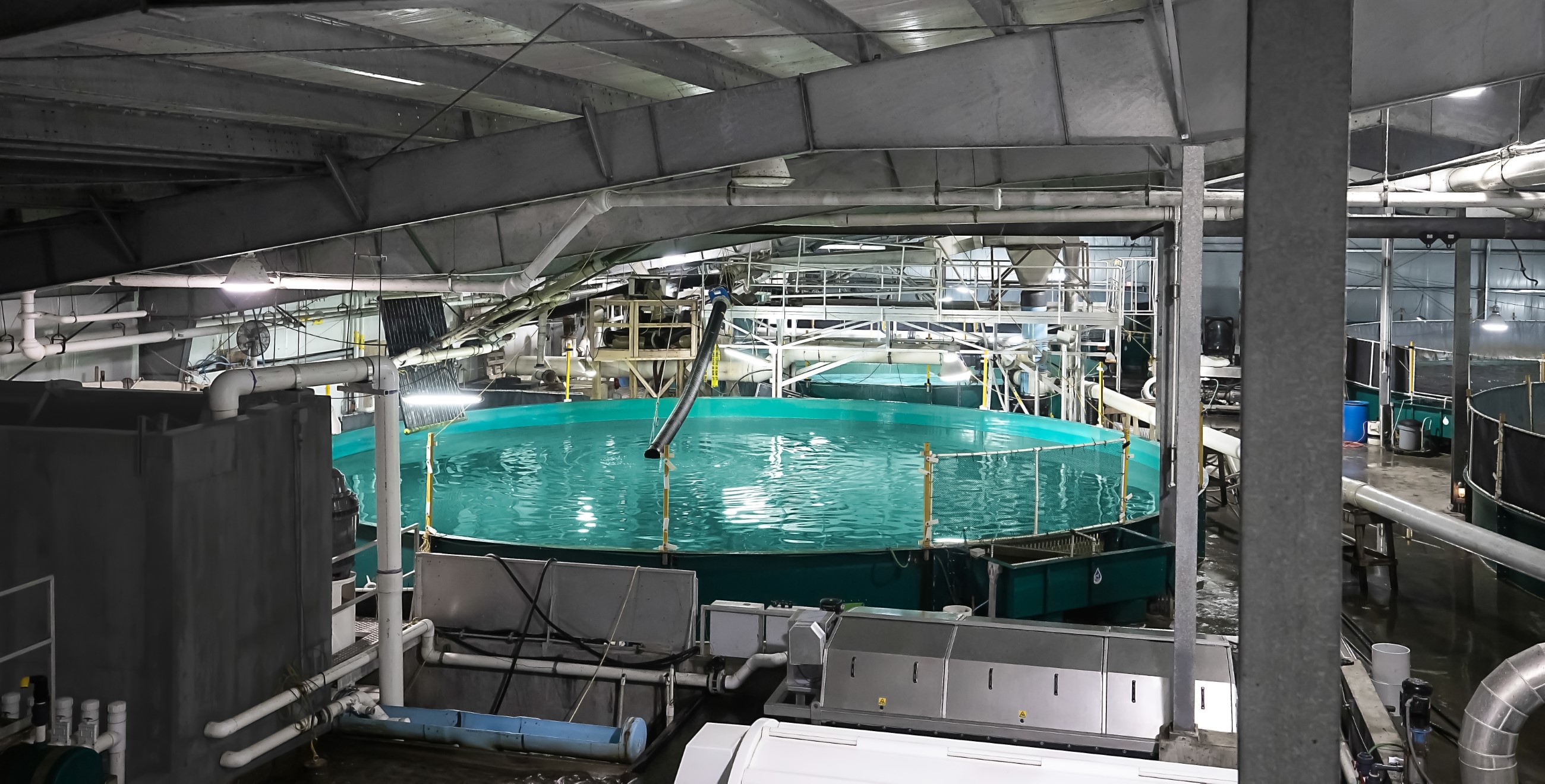 PR Aqua | RAS Aquaculture Engineering & Design