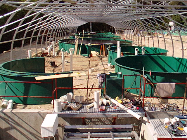 Our Past Work | RAS Aquaculture Systems | PR Aqua