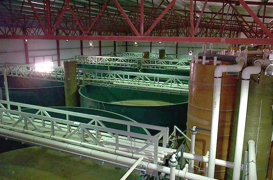 Our Past Work | RAS Aquaculture Systems | PR Aqua