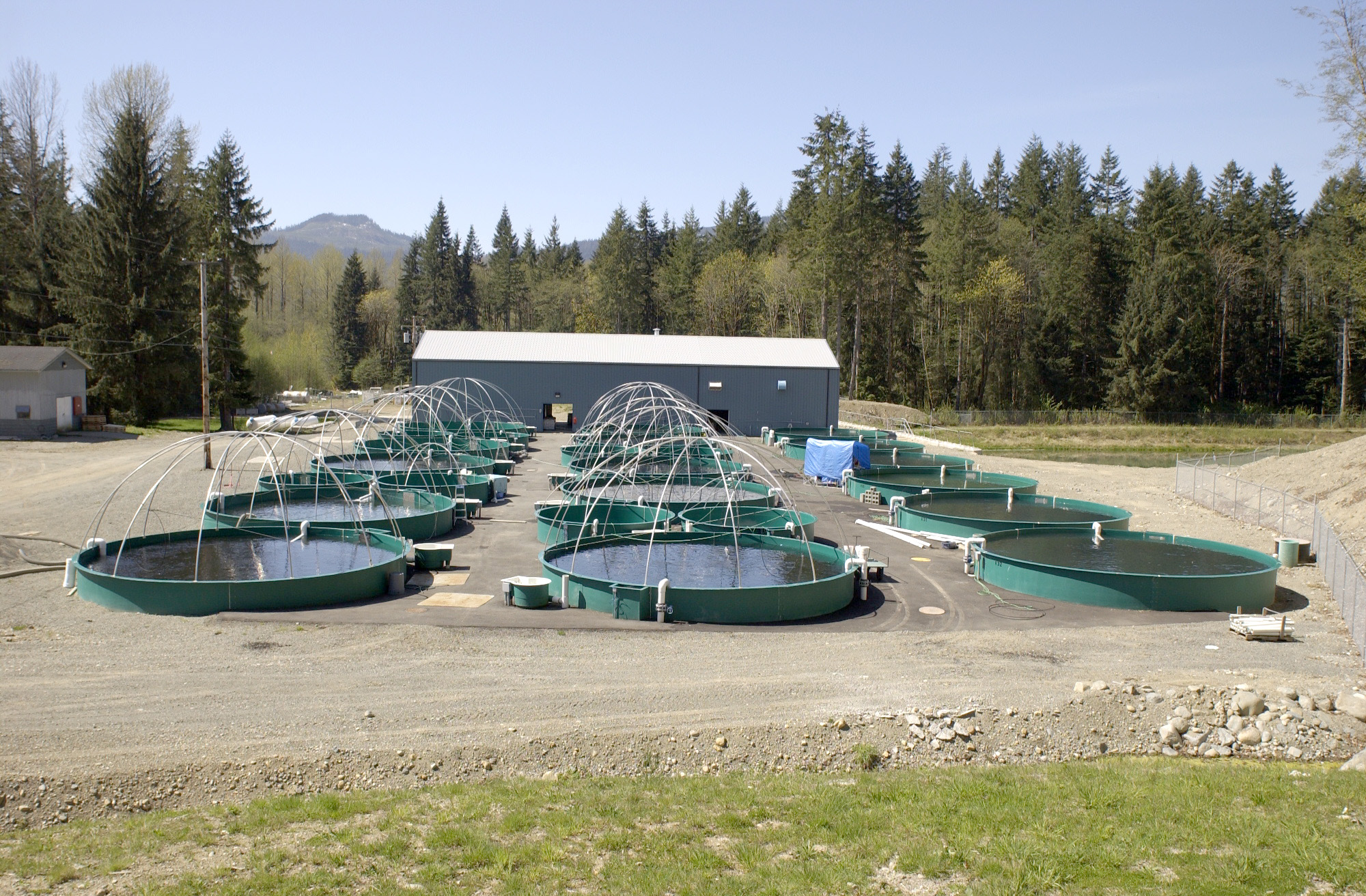 Our Past Work | RAS Aquaculture Systems | PR Aqua