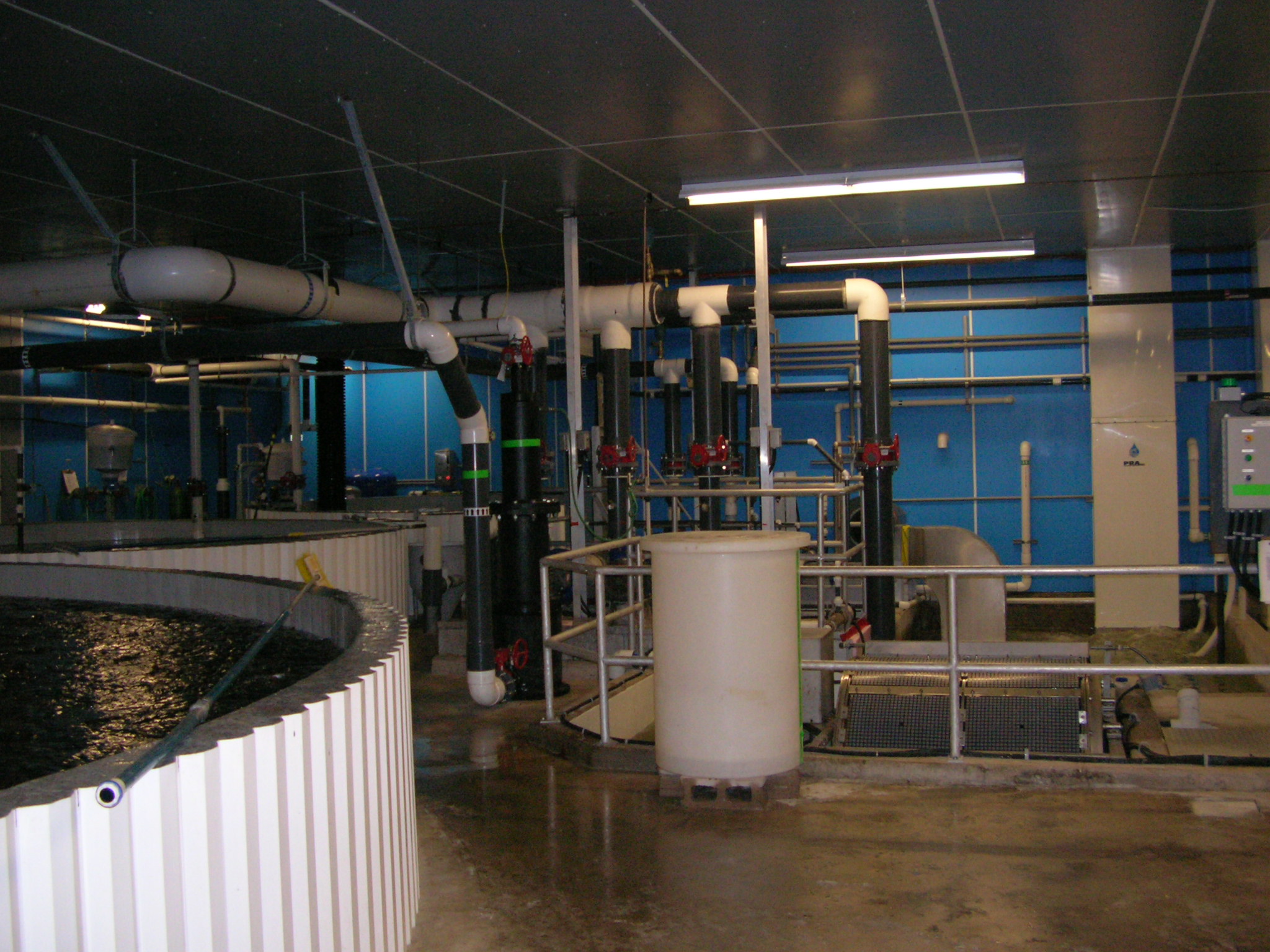 Our Past Work | RAS Aquaculture Systems | PR Aqua