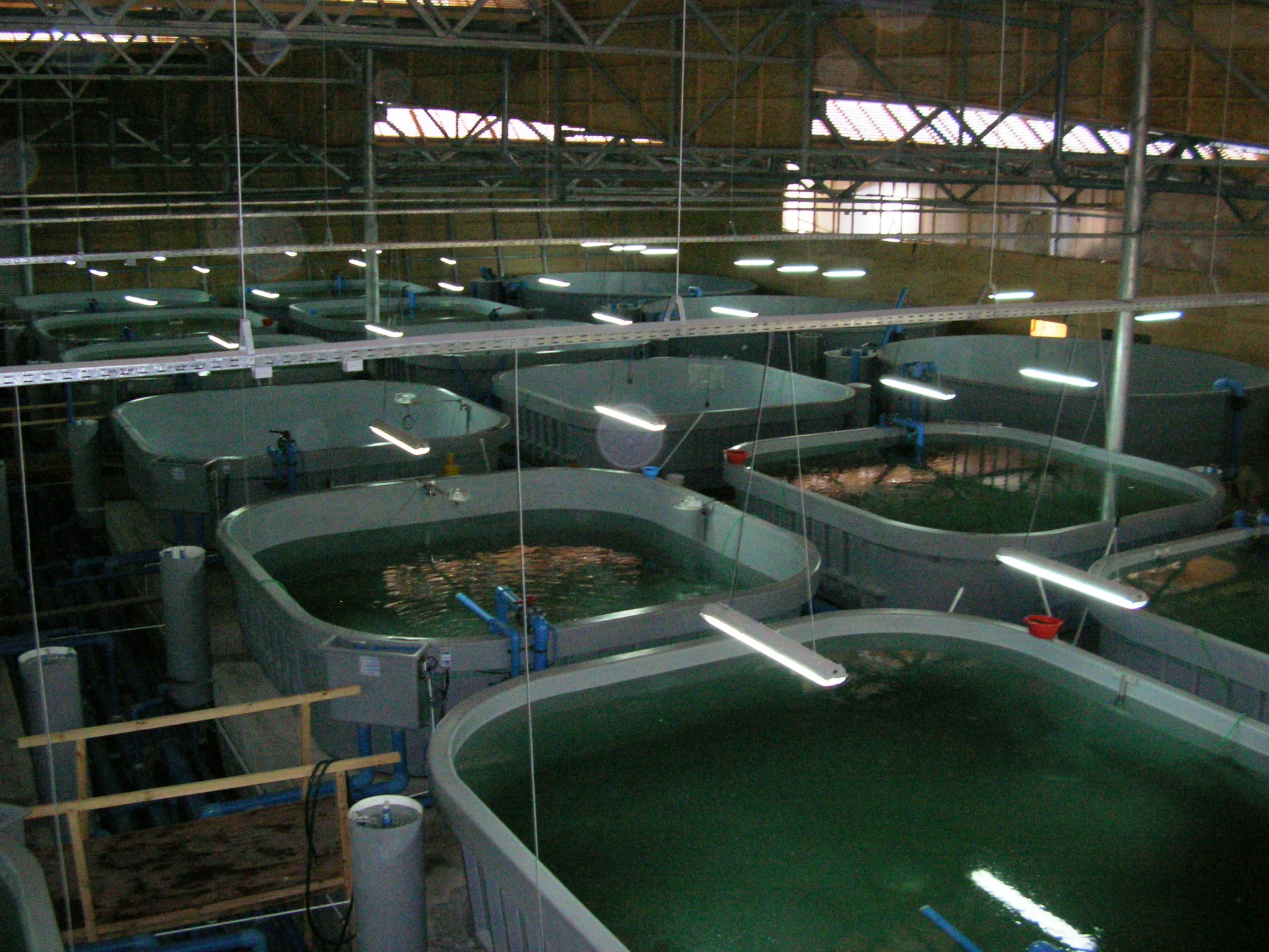 Our Past Work | RAS Aquaculture Systems | PR Aqua