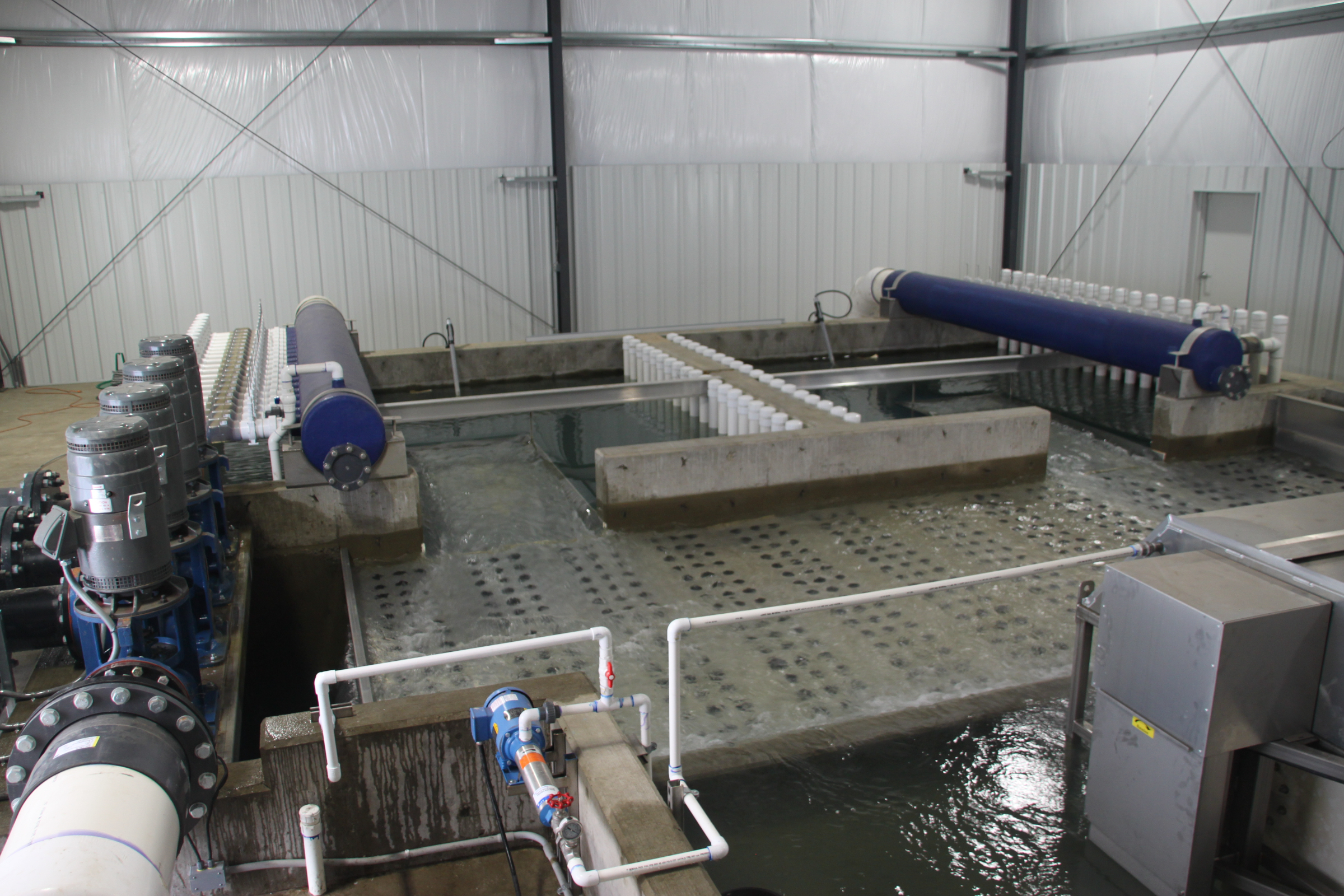 Our Past Work | Recirculating Aquaculture Design | PR Aqua