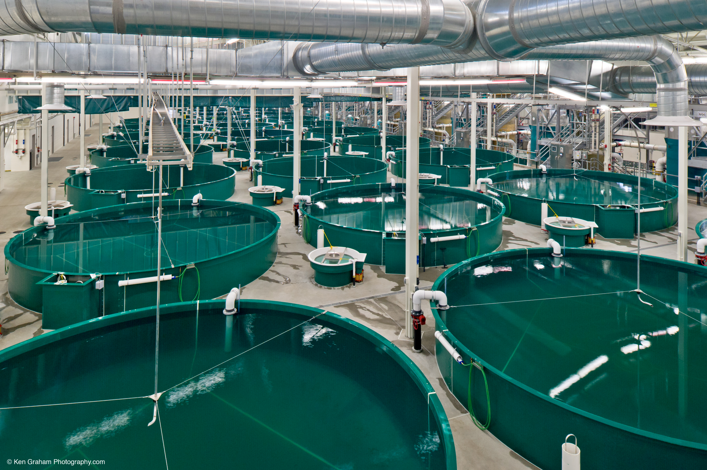 Our Past Work | RAS Aquaculture Systems | PR Aqua