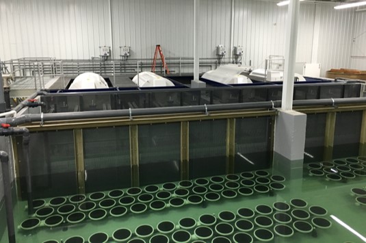 Our Past Work | RAS Aquaculture Systems | PR Aqua