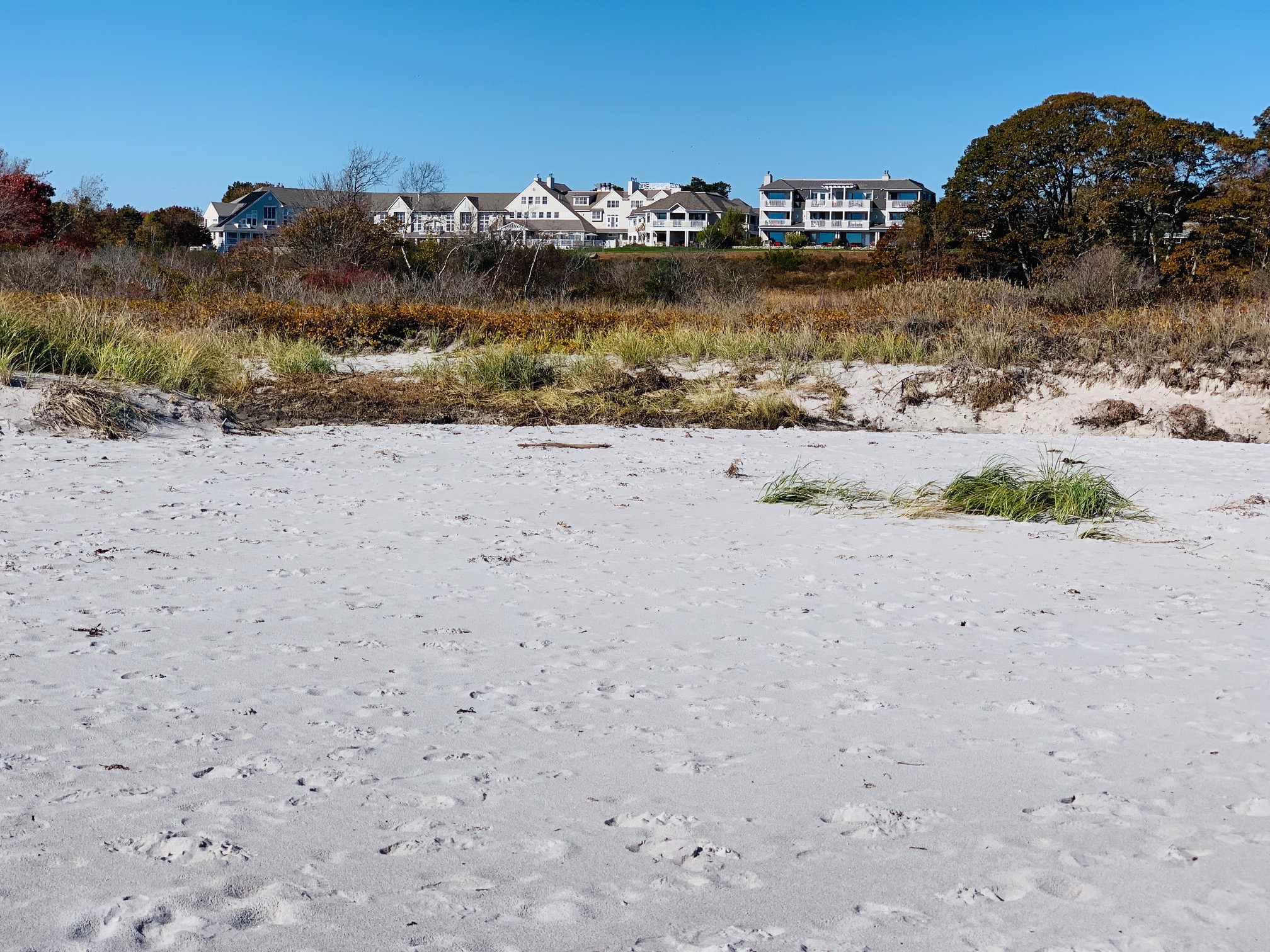 Luxury Beach Front Resort | Inn By The Sea, Maine