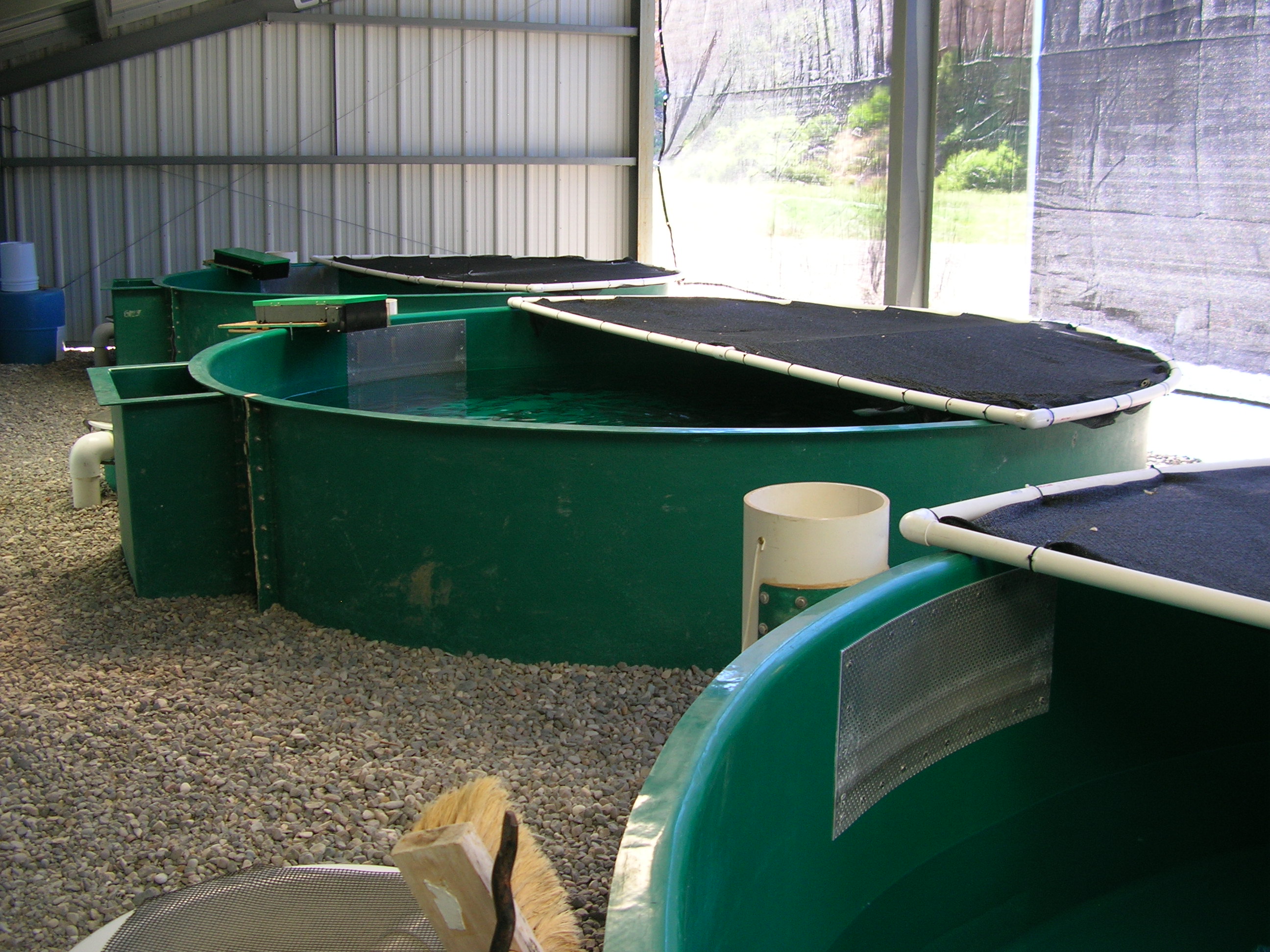 Our Past Work | RAS Aquaculture Systems | PR Aqua
