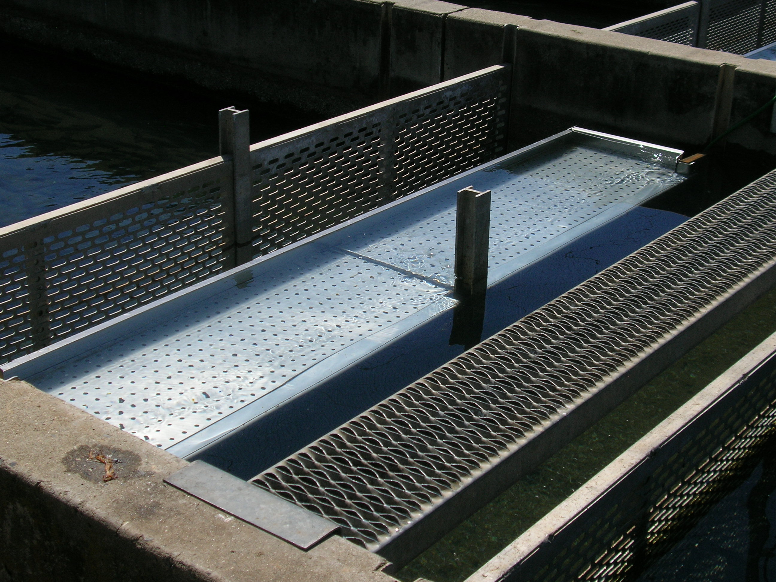 Our Past Work | Recirculating Aquaculture Design | PR Aqua