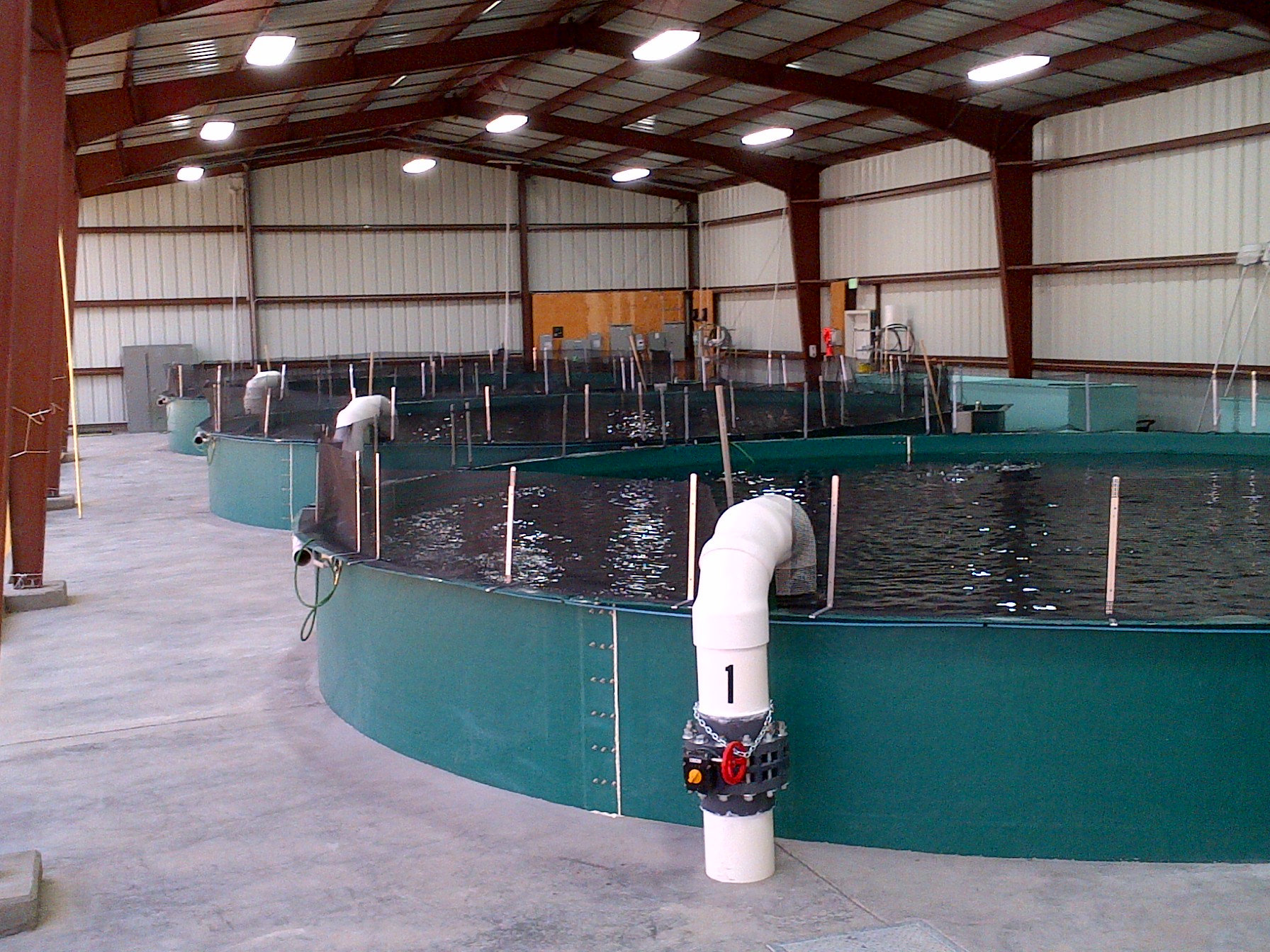 Our Past Work | Recirculating Aquaculture Design | PR Aqua