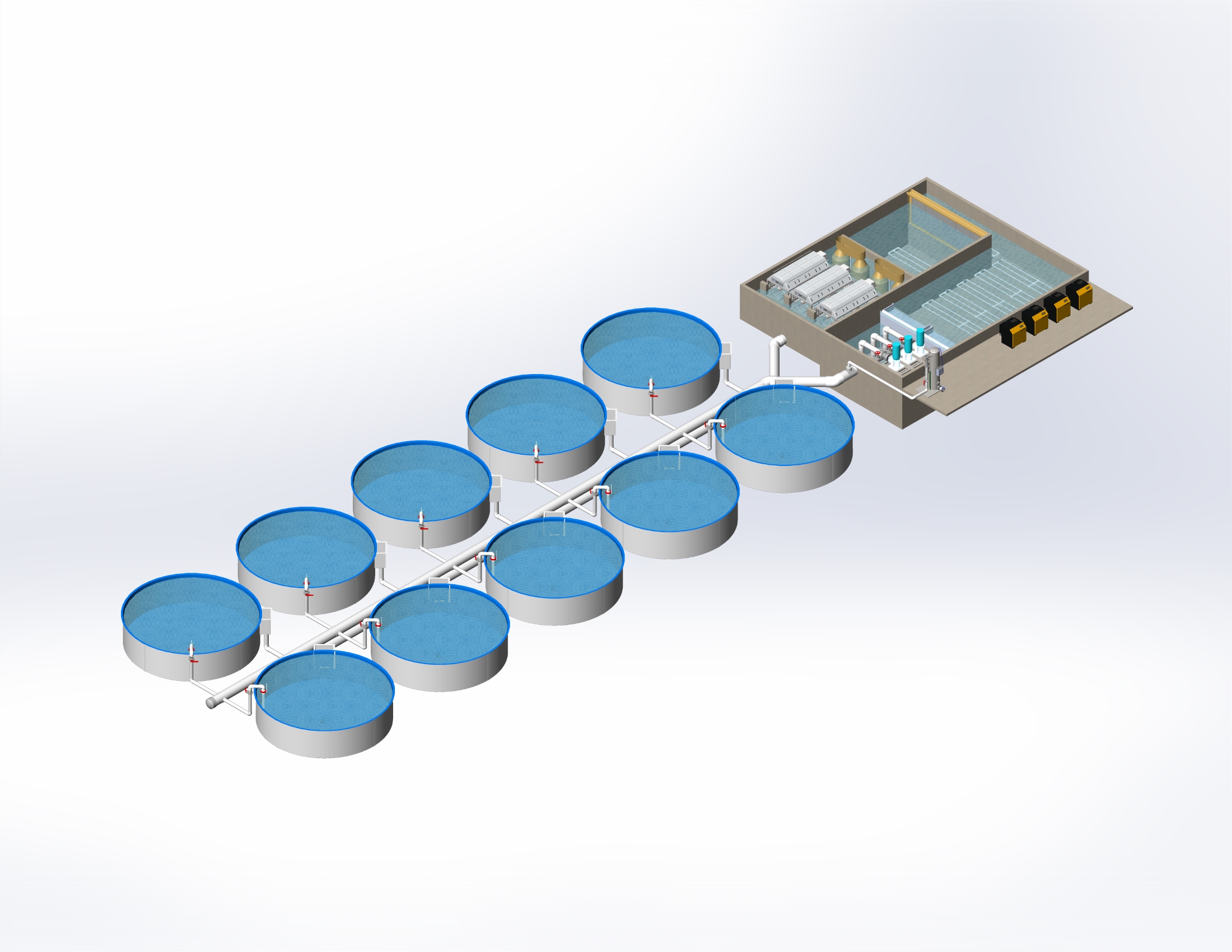 Recirculating Aquaculture Systems (RAS Systems) Design | PR Aqua