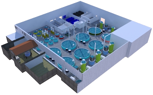 Our Approach to Aquaculture RAS Design | PR Aqua
