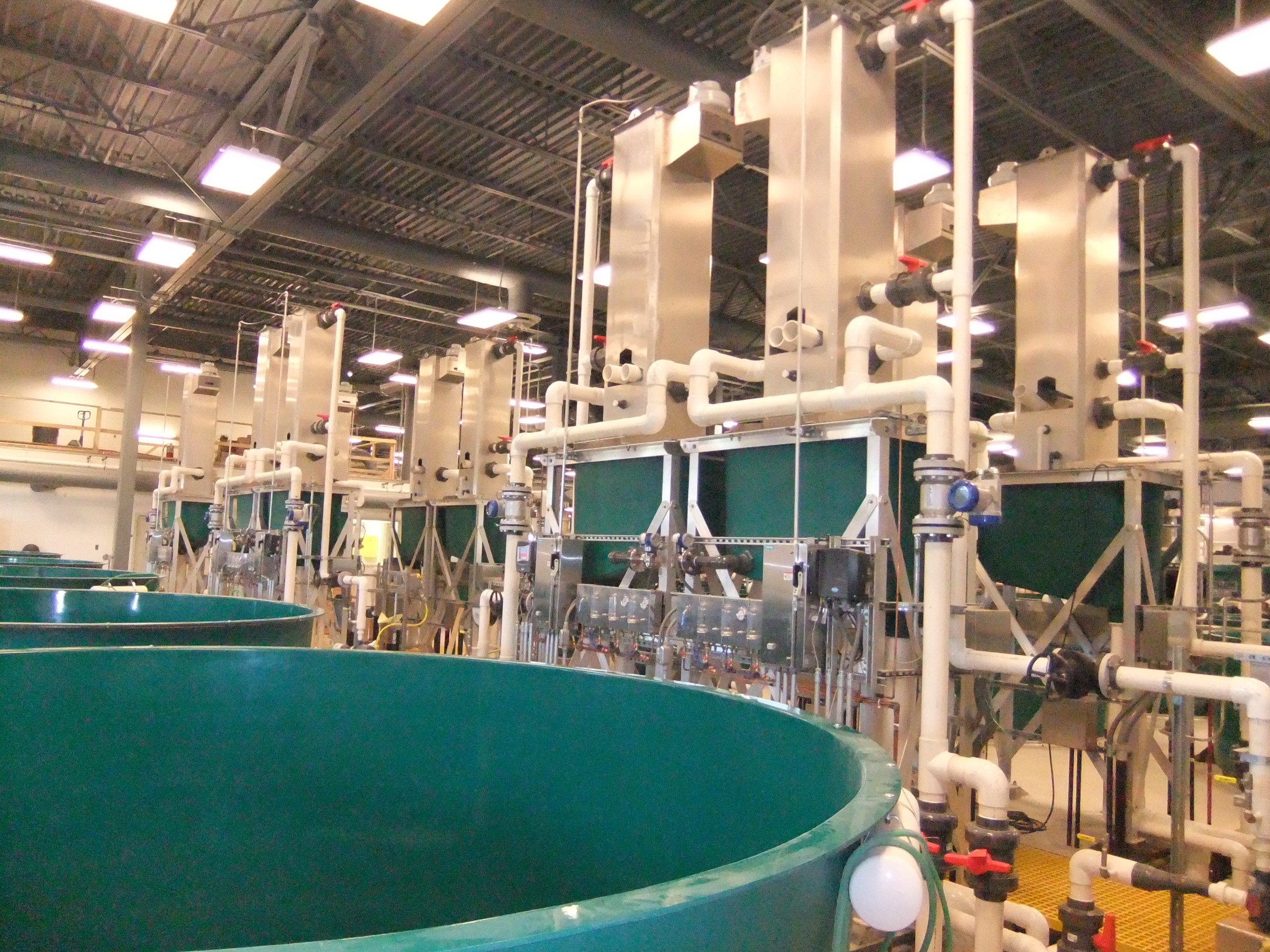 Featured Projects | PR Aqua
