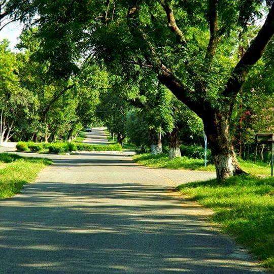 Vince's Free Step-By-Step 2-Month GRE Study Plan