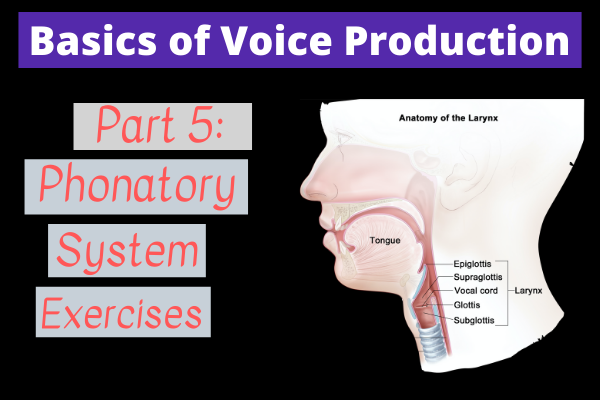 American Accent Videos | San Diego Voice and Accent | Accent Reduction ...